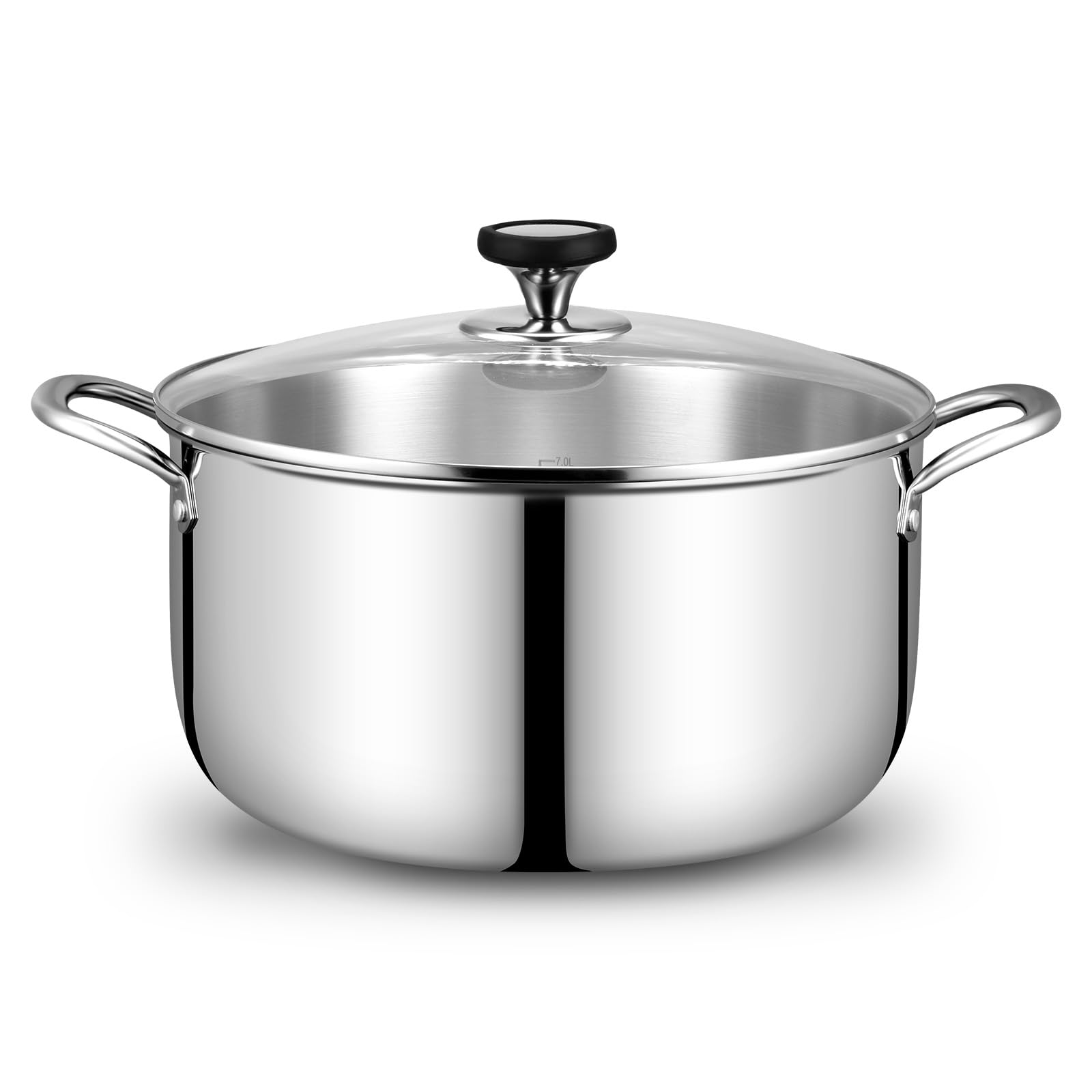 7 Best Rated Stock Pots | Tri-Ply vs Aluminum Core Care