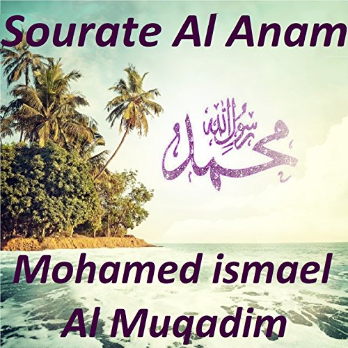 Amazon.com: Sourate Al Anam (Quran) : Mohamed ismael Al Muqadim ...