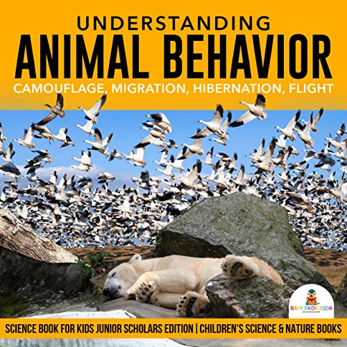 Amazon.com: Understanding Animal Behavior : Camouflage, Migration ...
