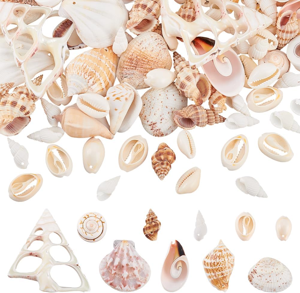 Amazon.com: PH PandaHall 16pcs Natural Spiral Shell Beads, 0.8~1.1 Inch ...