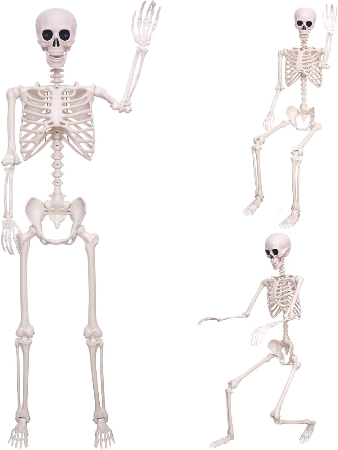 Amazon.com : 5.4Ft Halloween Skeleton Creepy Posable Skeleton Full Size ...