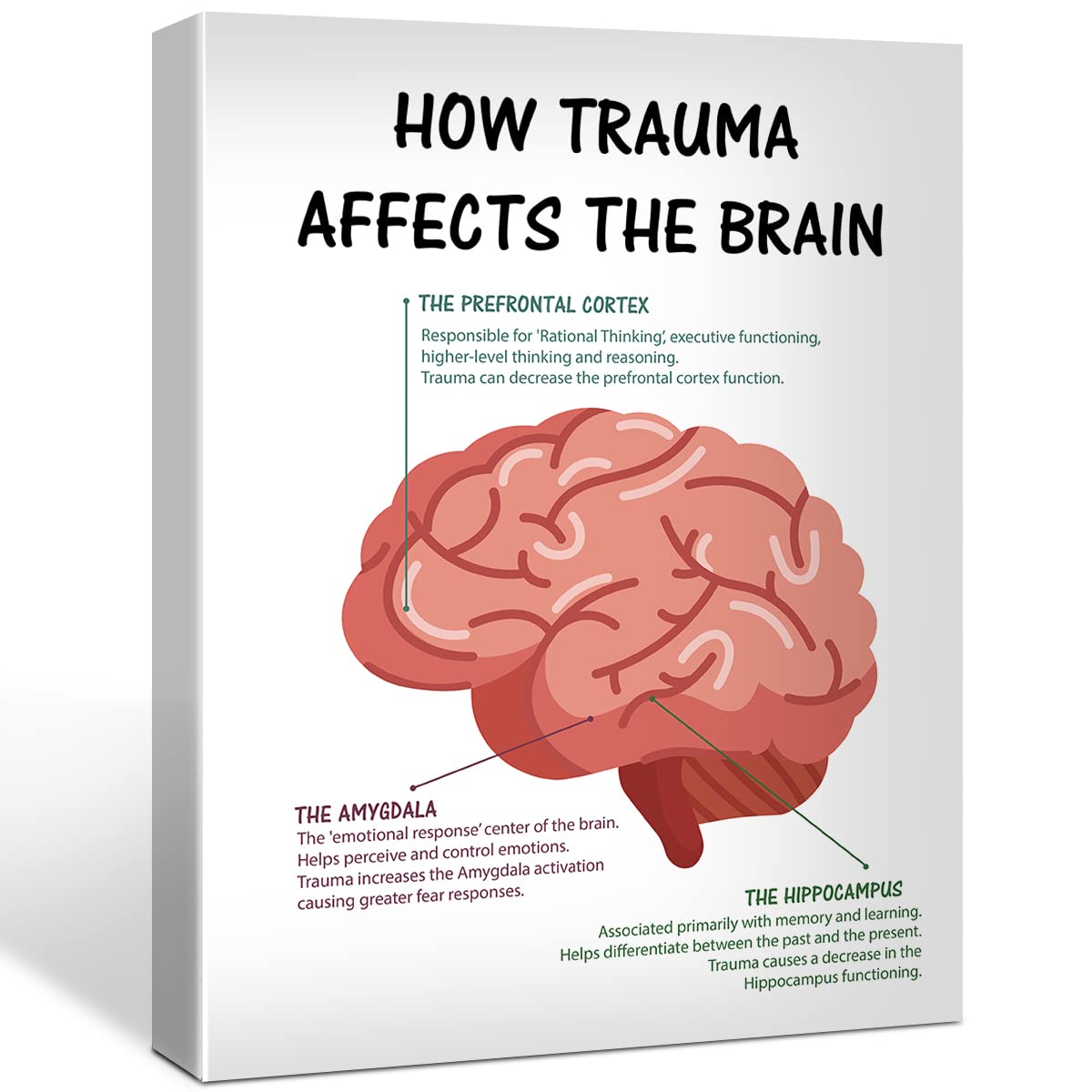 How Trauma Affects the Brain Canvas Office Poster Print Painting for ...