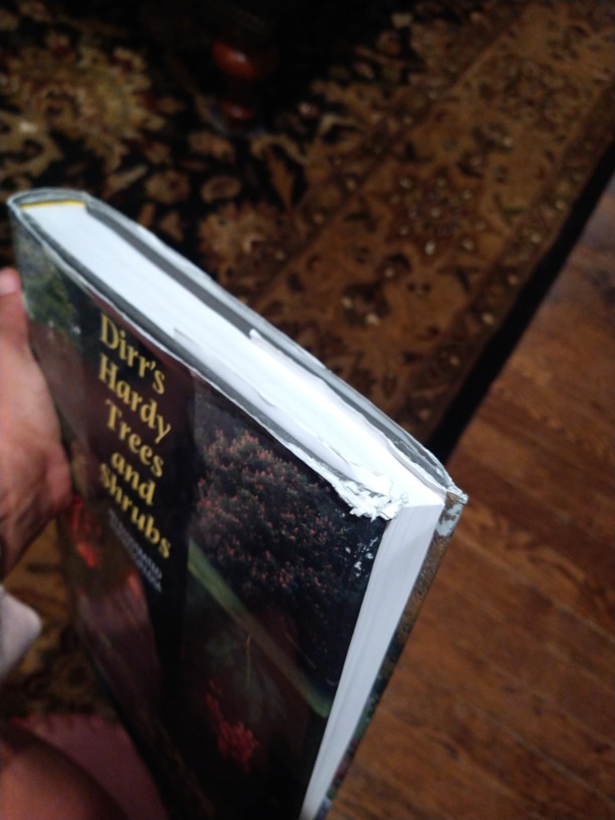 Dirr's Hardy Trees and Shrubs: An Illustrated Encyclopedia: Dirr ...