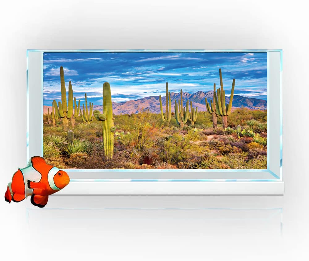Desert Terrarium Background - 24x16" Vinyl Scenic Backdrop (Saguaro ...