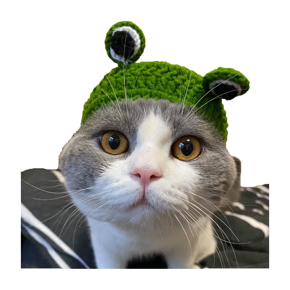 Funny Cats In Hats