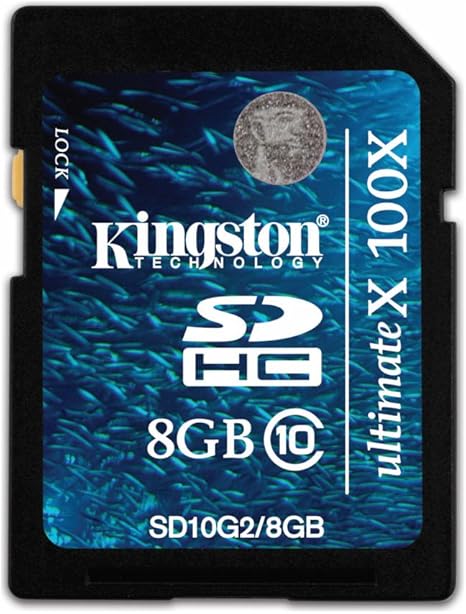 Amazon.com: Kingston Digital 8 GB Flash Memory Card SD10G2/8GB