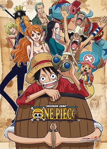 One Piece Group 1 High-End Wall Scroll Anime Posters : Amazon.in: Home ...