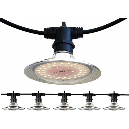 Amazon.com : Espird Outdoor LED Grow Lights for Greenhouse Waterproof ...
