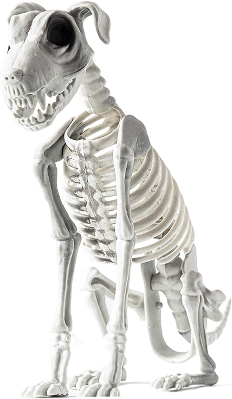Amazon.com: Large Dog Skeleton Halloween Decor - 17 Inch Indoor/Outdoor ...