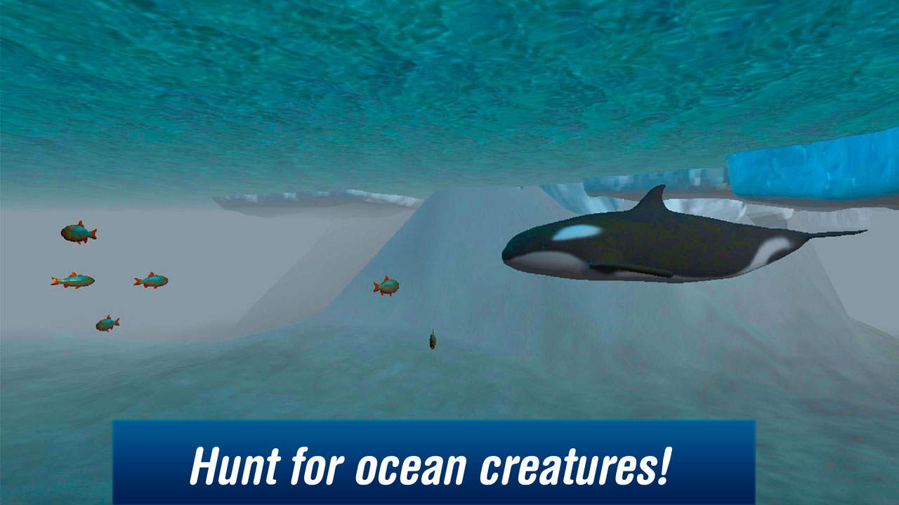 Killer Whale: Sea Simulator 3D - App on the Amazon Appstore