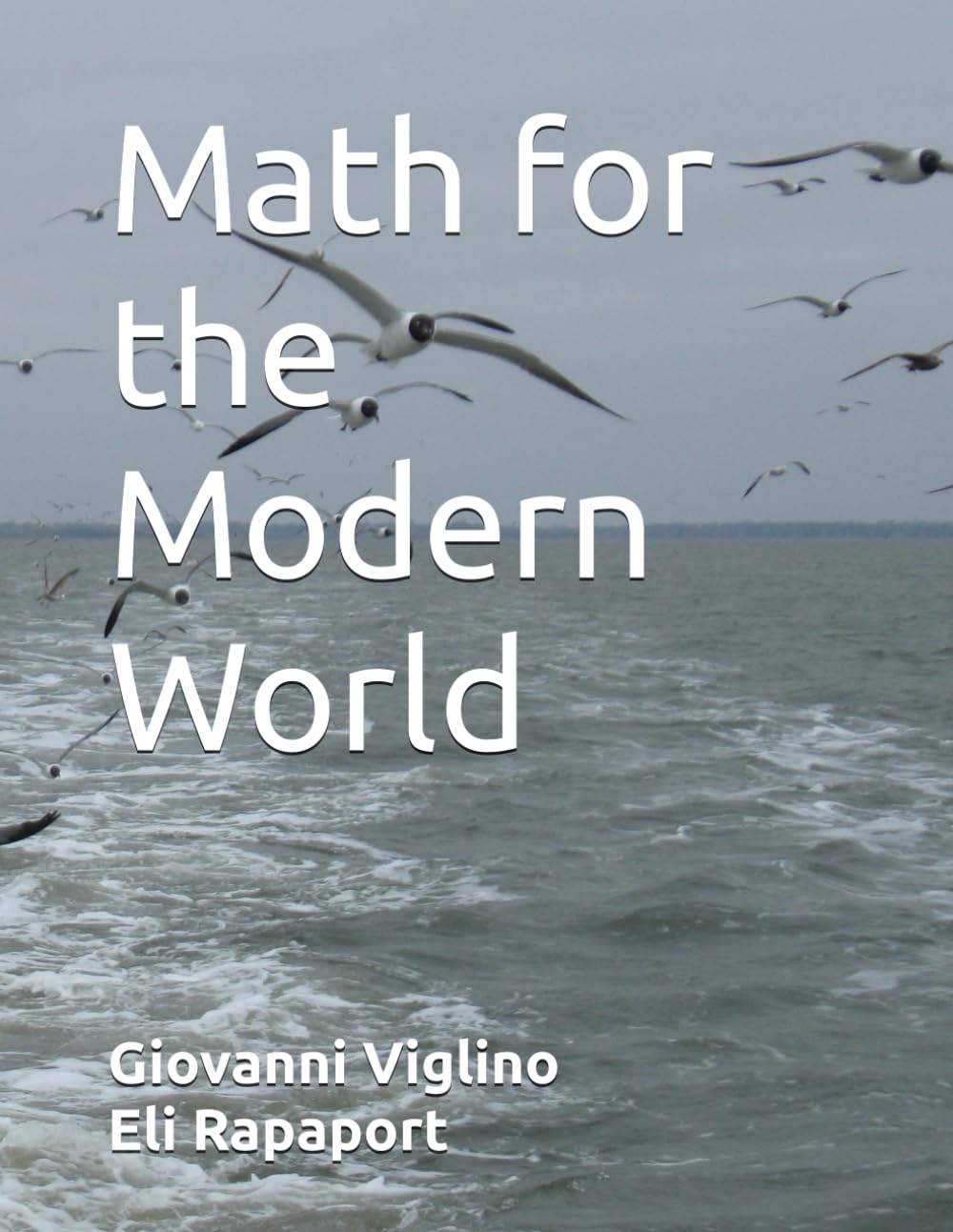 Math for the Modern World: Viglino, Giovanni, Rapaport, Eli ...