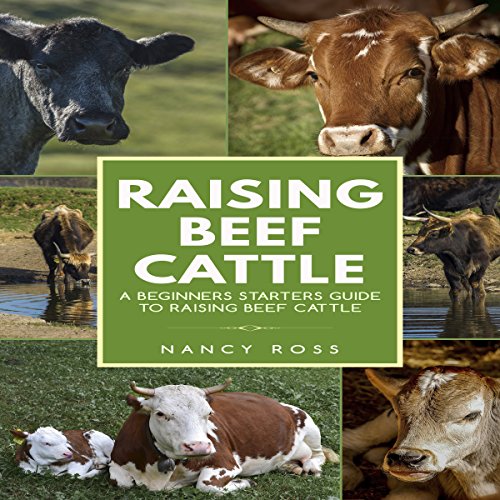 Amazon.com: Raising Beef Cattle: An Essential Guide to Raising Cows ...