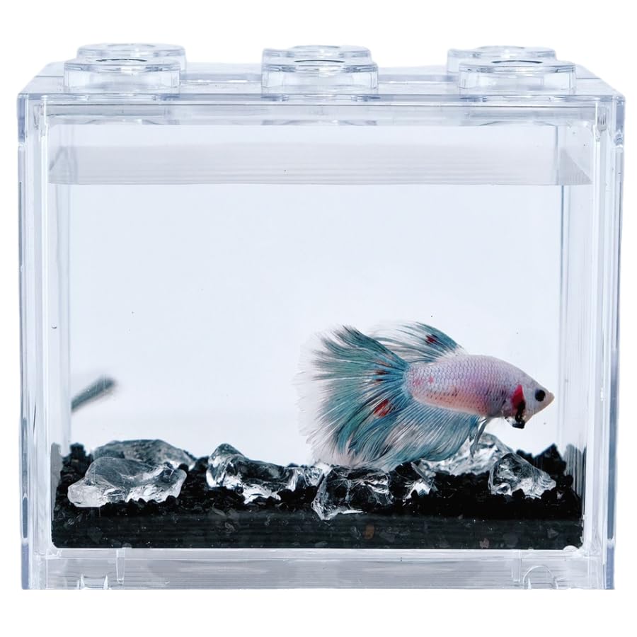 Betta Fish Mermaid My Betta On Mermay By ArteyaS - Fur Affinity [dot]