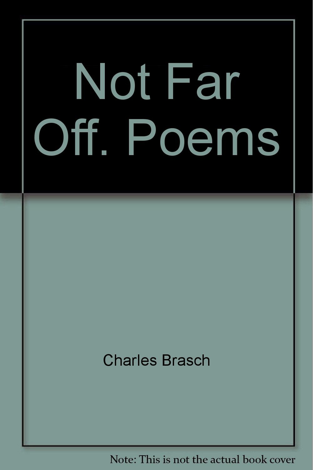Amazon.com: Not Far Off Poems: Brasch, Charles