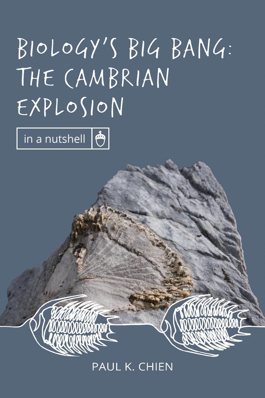 Biology's Big Bang: The Cambrian Explosion (In a Nutshell): Chien, Paul ...