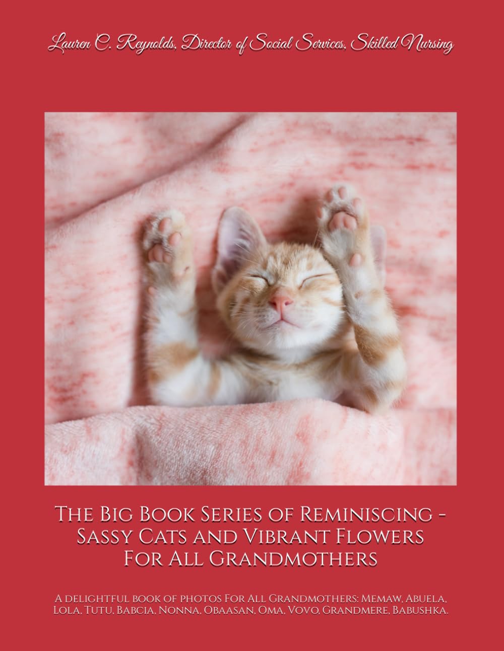Amazon.com: The Big Book Series of Reminiscing - Sassy Cats and Vibrant ...