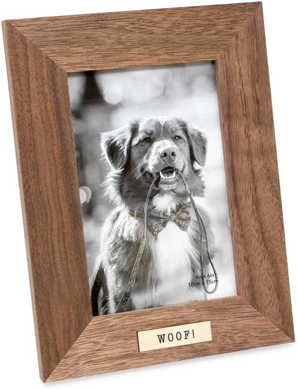 Amazon.com - Skyway Puppy Dog Paw Print Pet Photo Picture Frame Silver ...