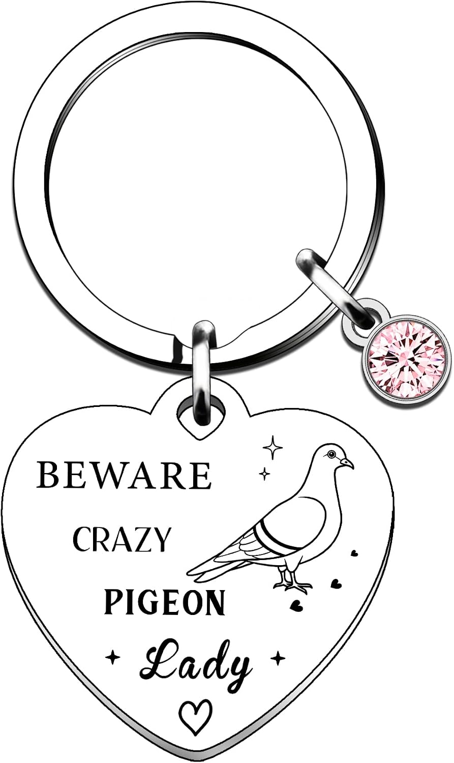QMVMV Funny Pigeon Keyring Gifts Animal Lover Gift Beware Crazy Pigeon ...