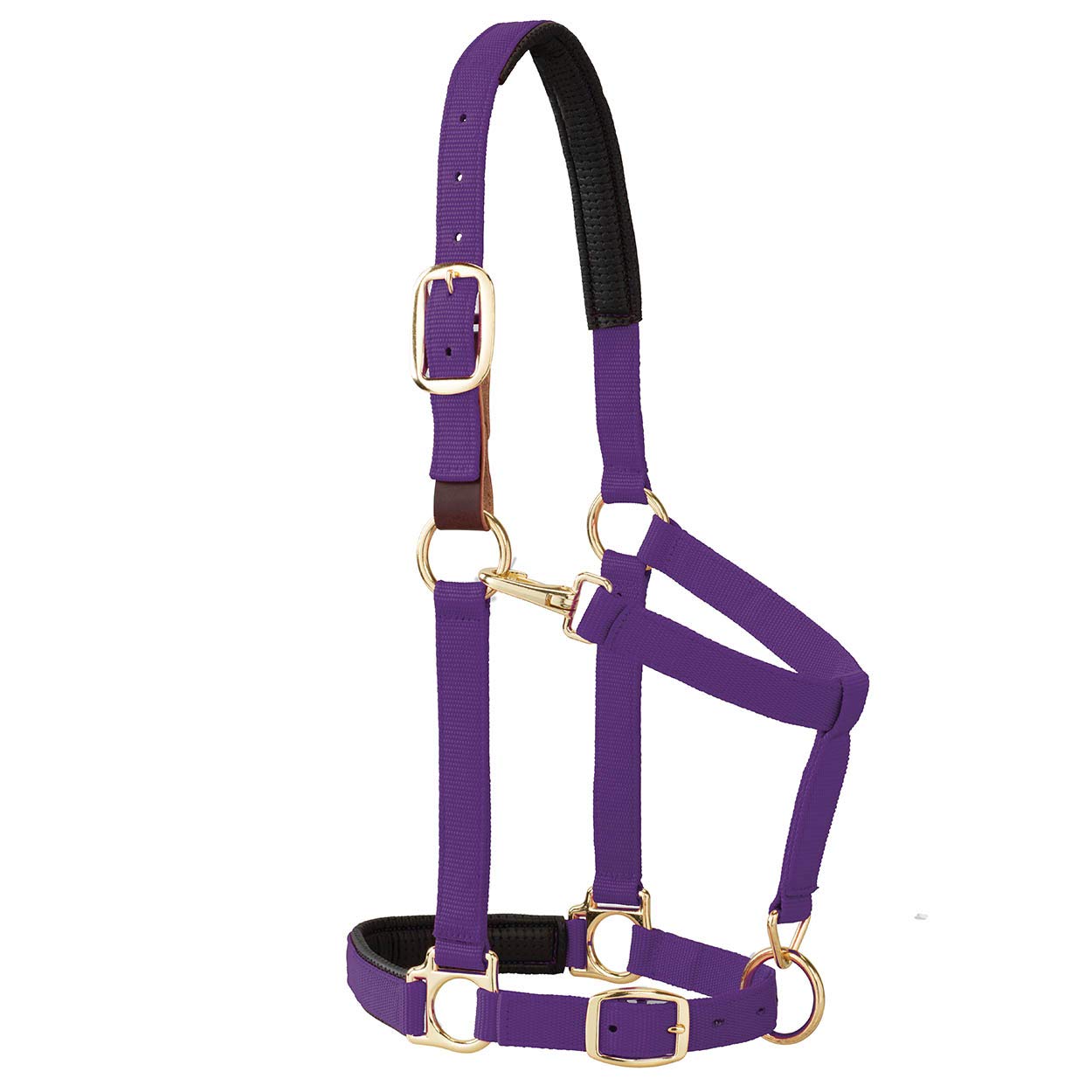 Snapklik.com : Weaver Equine Breakaway Horse Halter, Comfort Foam ...