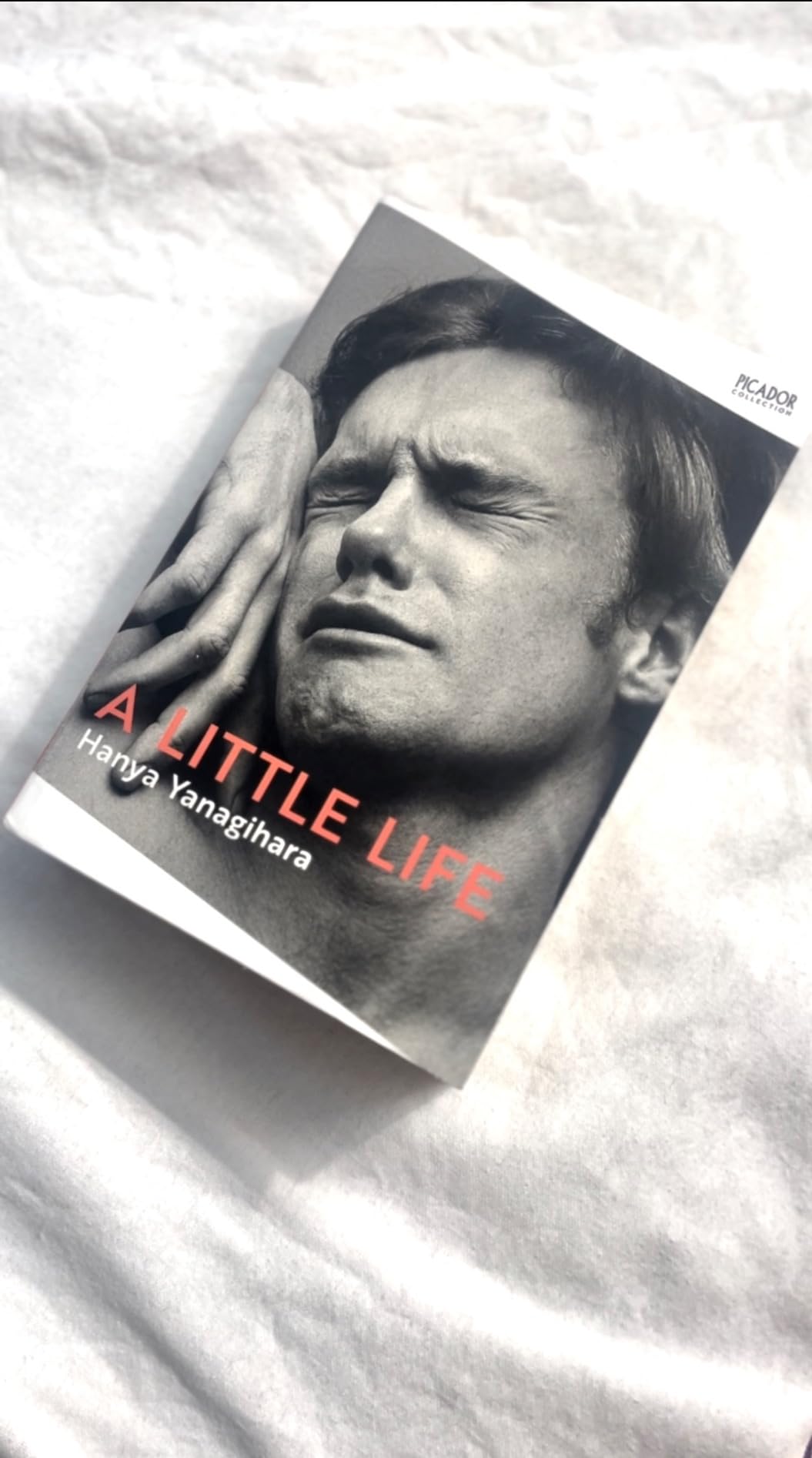 Buy A Little Life Book Online at Low Prices in India | A Little Life ...