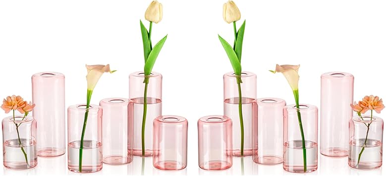 Amazon.com: Glasseam Small Pink Bud Vase: Mini Modern Glass Vase Set of ...