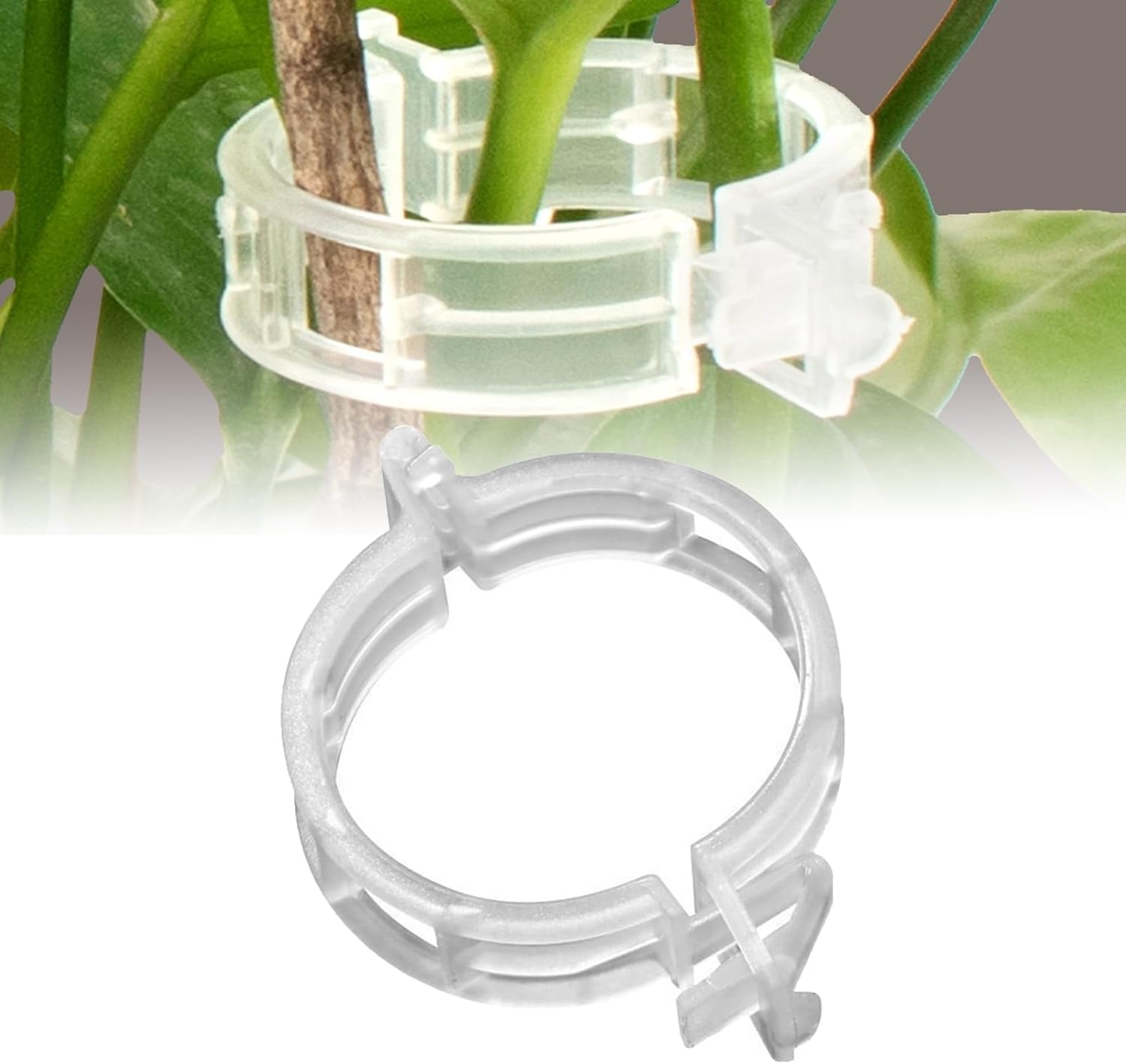 Amazon.com: Plant Support Clips, Plastic Plant Clips for Climbing ...