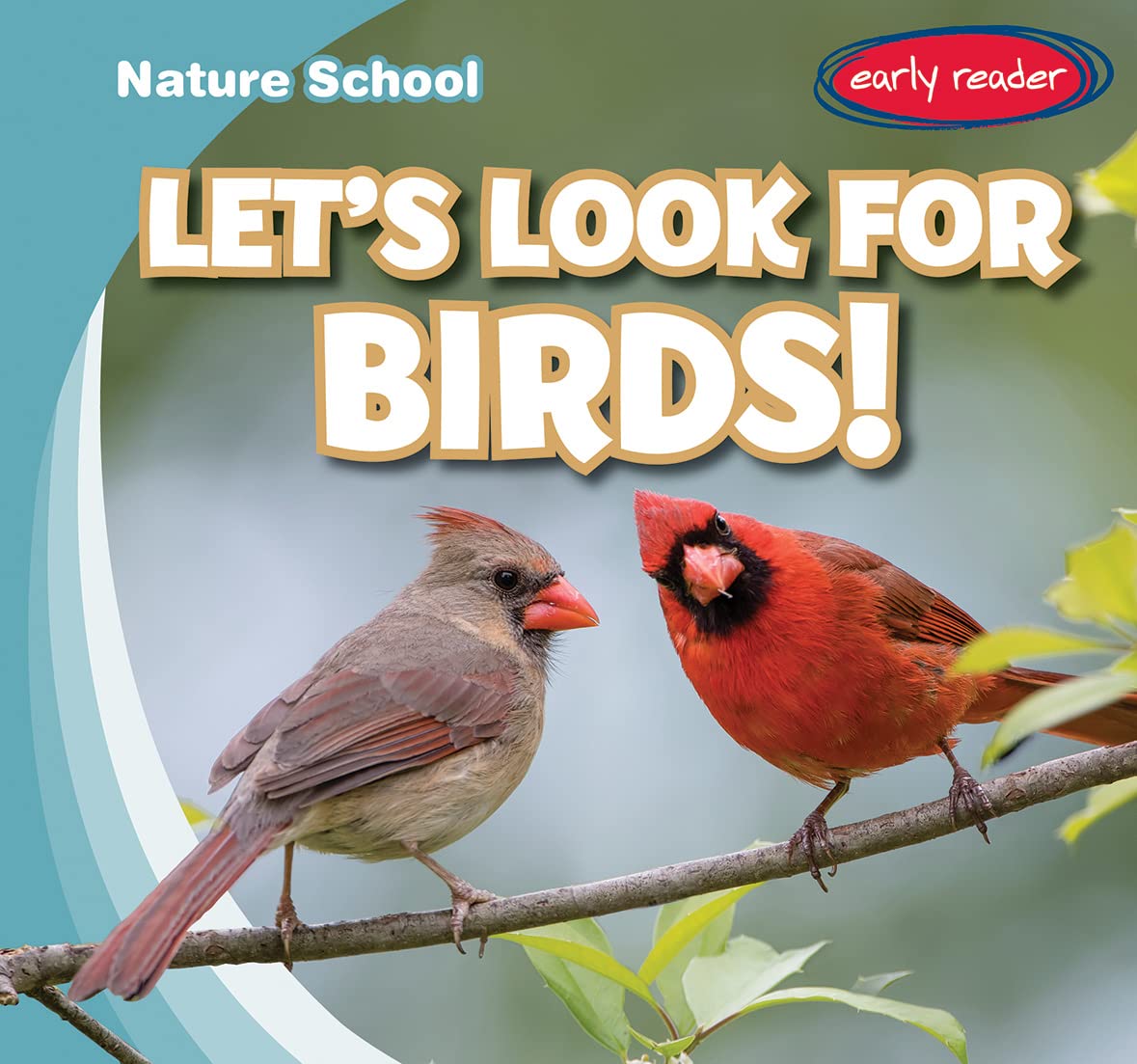 Let’s Look for Birds! (Nature School): Lynch, Seth: 9781538286203 ...