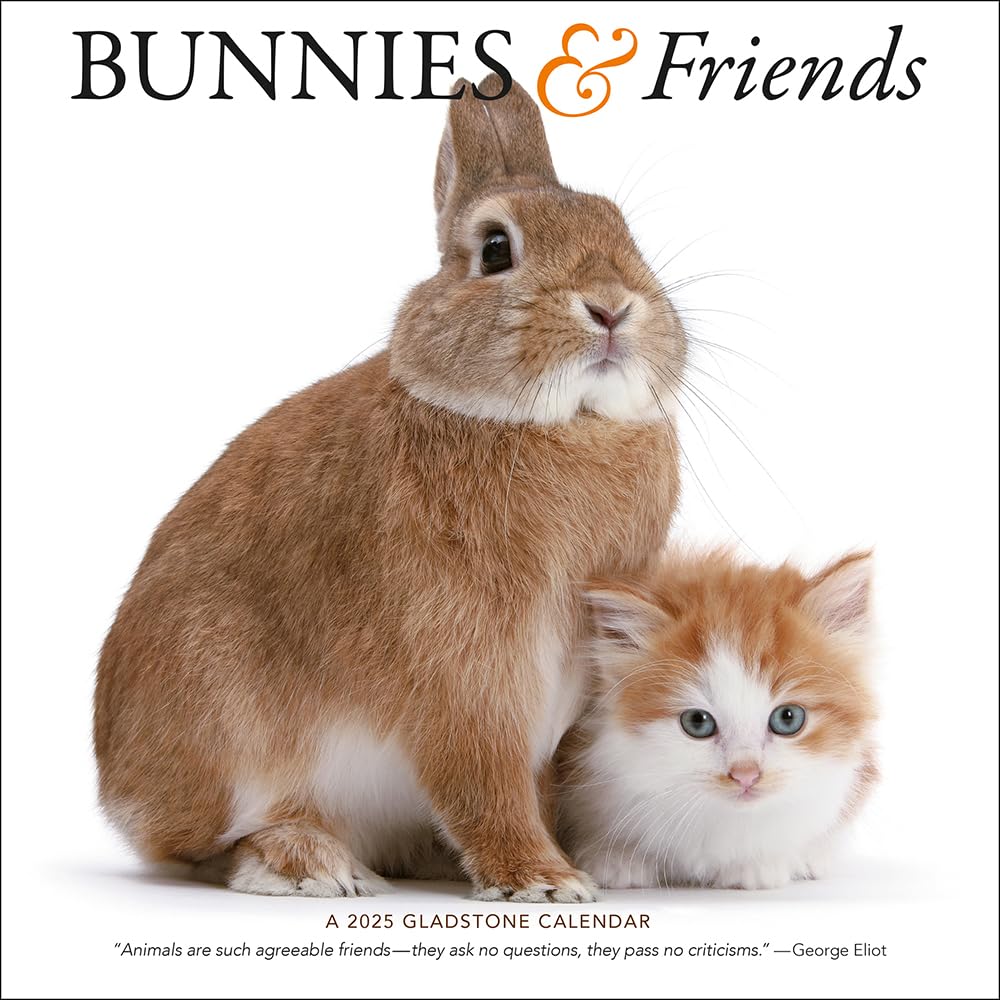 Amazon.com: Bunnies & Friends Square Wall Calendar 2025: 9781612235431 ...