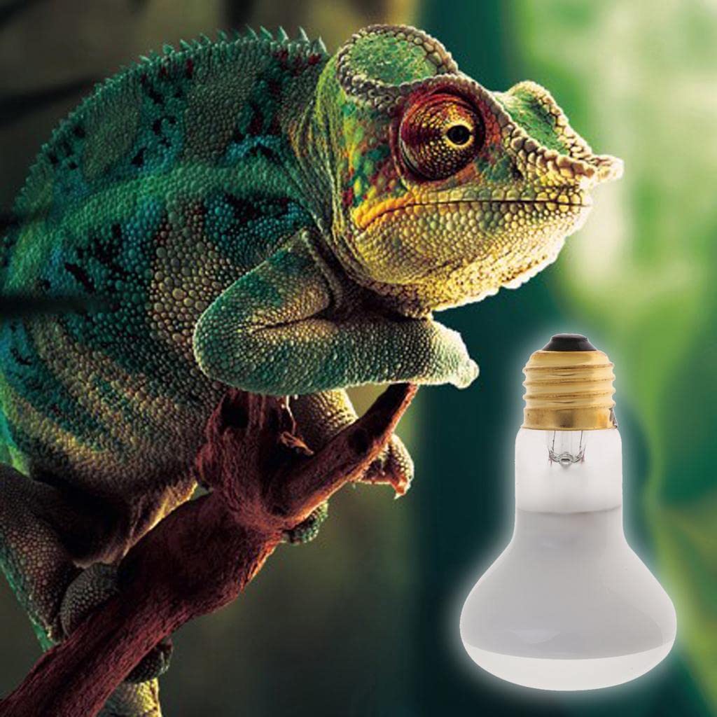 Enakshi (LABEL) Glass Pet Heating Infrared Lamp Bulb Pet Heat Lamps ...