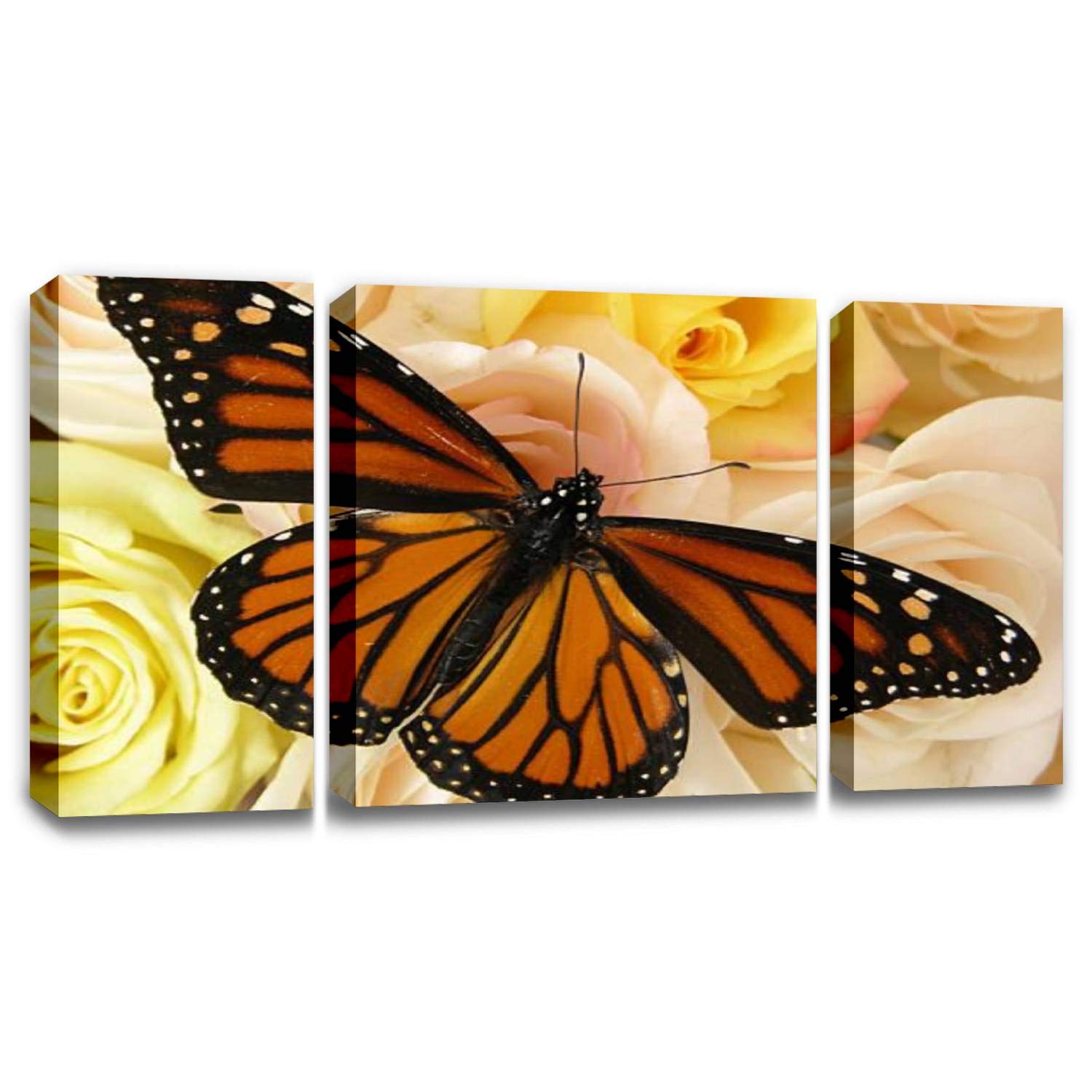 Monarch Butterflies On Roses