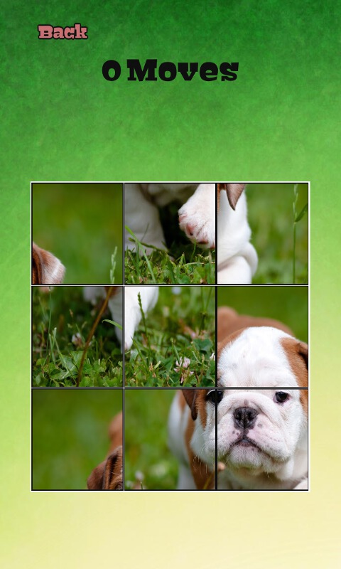 Cubs Puzzle - App on Amazon Appstore
