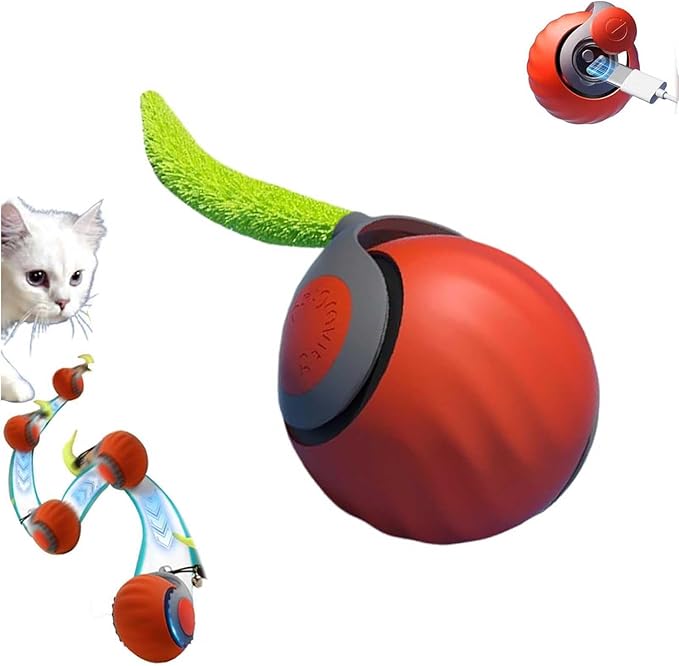Speedy Tail 2.0, Speedy Tail 2.0 Cat Toy, Interactive Cat Toy for ...