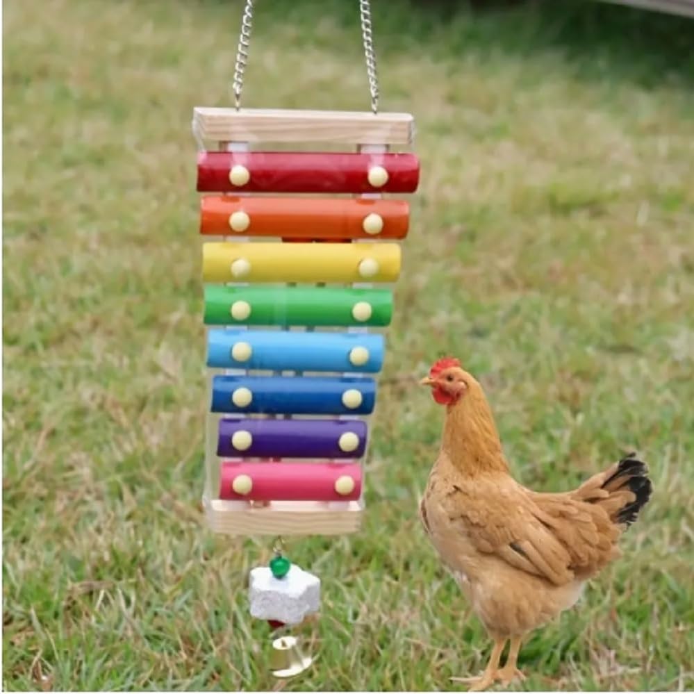 Amazon.com : NIKKHO 1pc Funny Chicken Toy, Colorful Chicken Cage ...