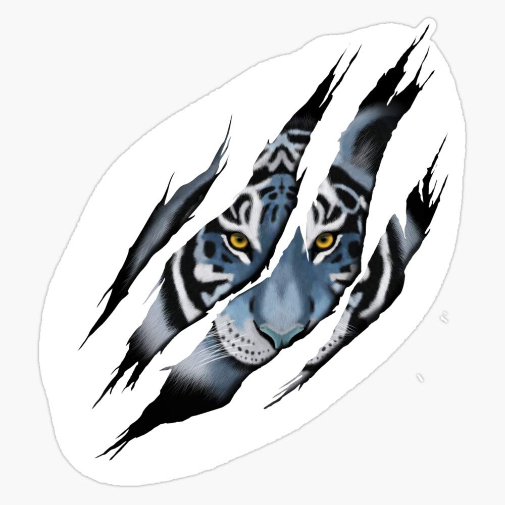 Amazon.com: Tiger, Tiger 3D, 3D Effect, Tiger Claws Shredded, Tiger ...