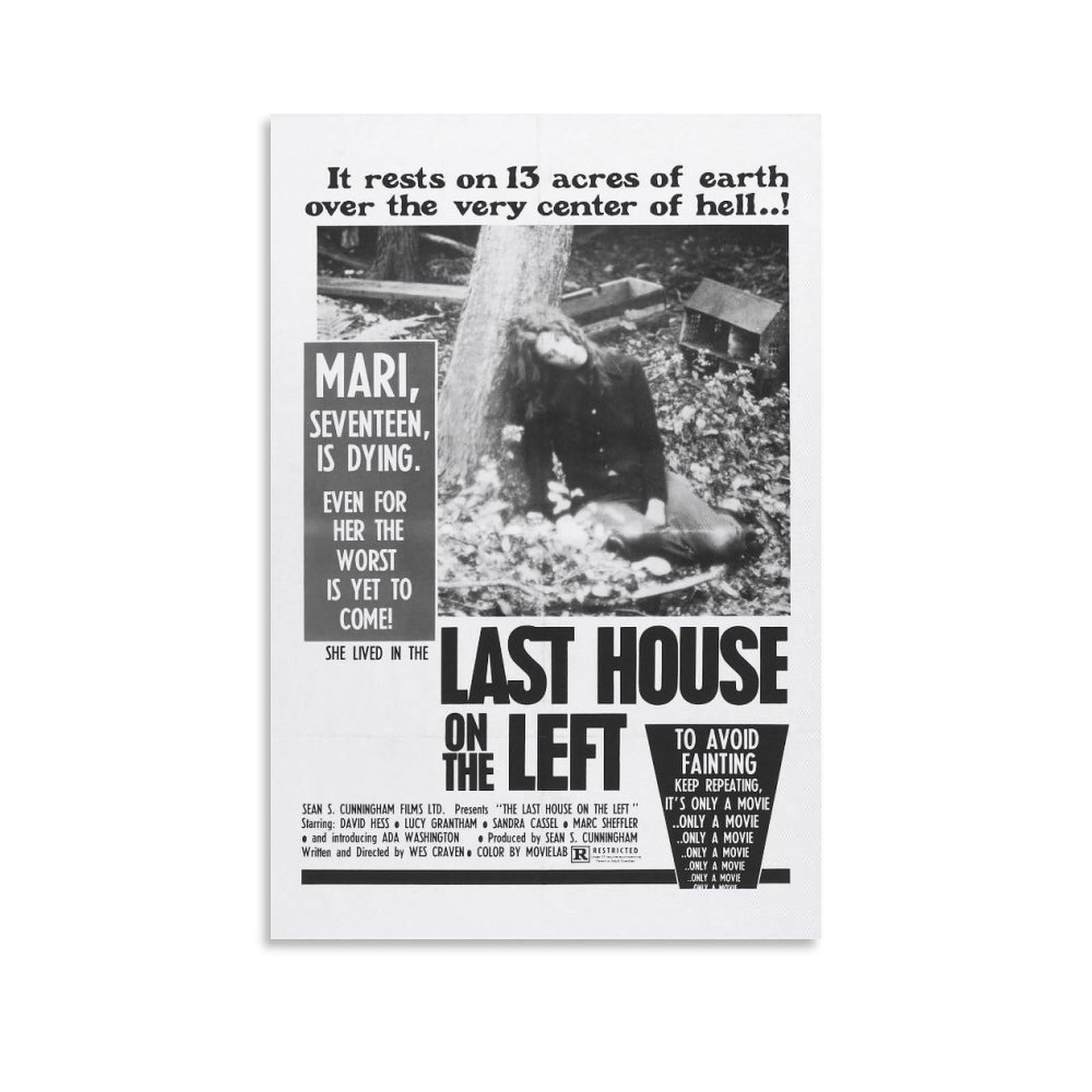 The Last House On The Left Poster