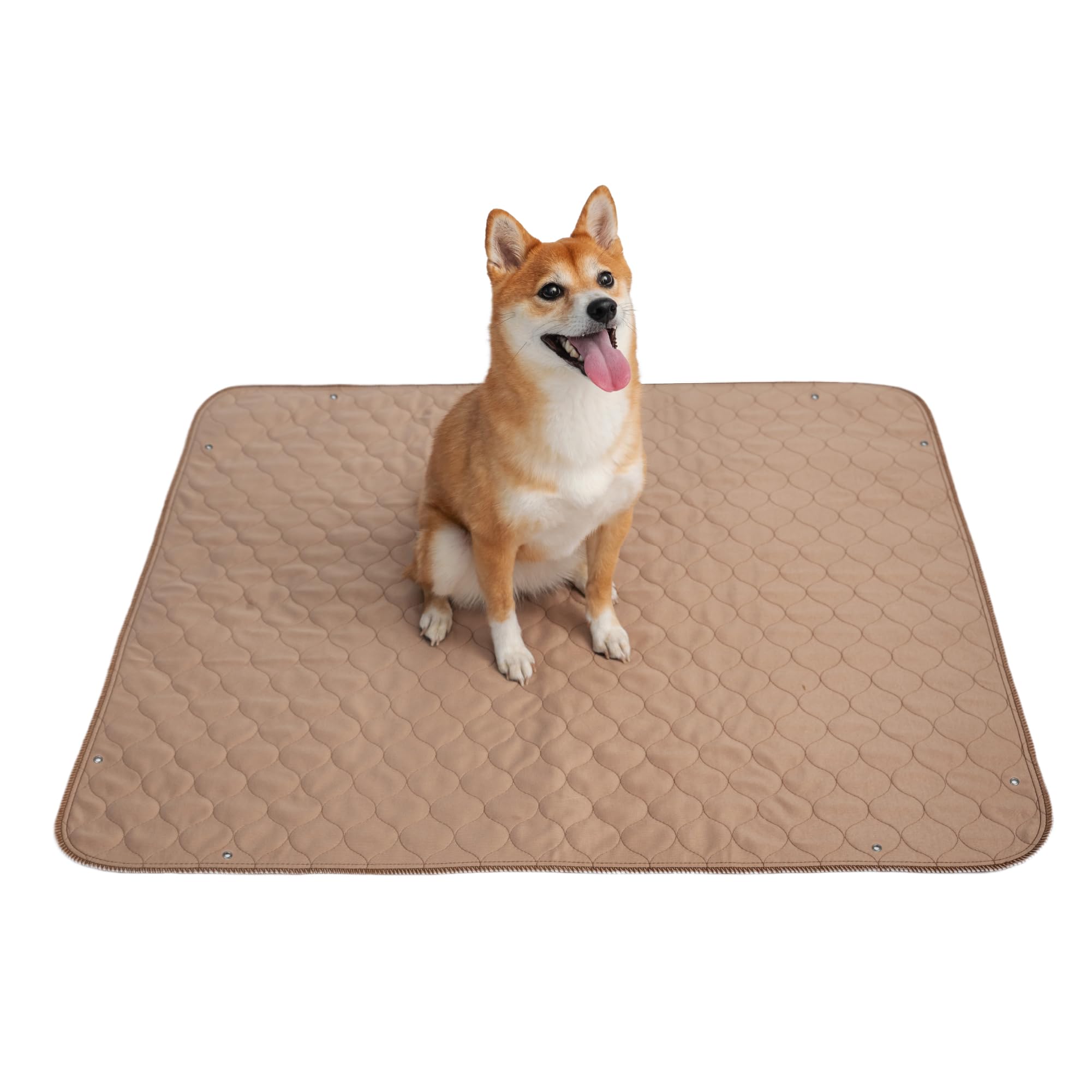 Amazon.com: EZwhelp Reusable Dog Pee Pad, Waterproof Mat for Dogs and ...