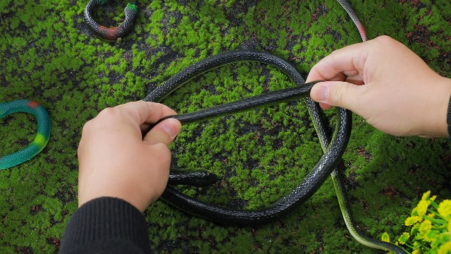 Watch Large Rubber Snakes Realistic Fake Snakes Black Snake Toys on ...