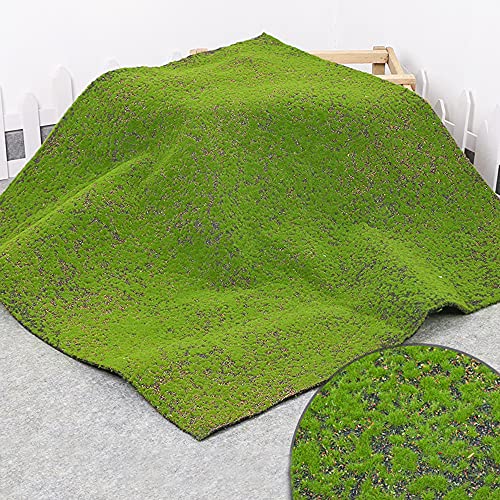 Kunstmoos Wand – Die 15 besten Produkte im Vergleich - Aquaristik