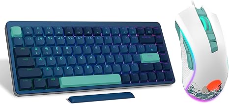 Amazon.com: COSTOM XVX L75 Wireless Mechanical Keyboard & Wired Gaming ...