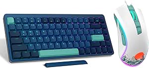 Amazon.com: COSTOM XVX L75 Wireless Mechanical Keyboard & Wired Gaming ...
