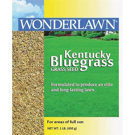 Amazon.com : URI 2 LAWN SEED MIX 10LB : Grass Plants : Patio, Lawn & Garden