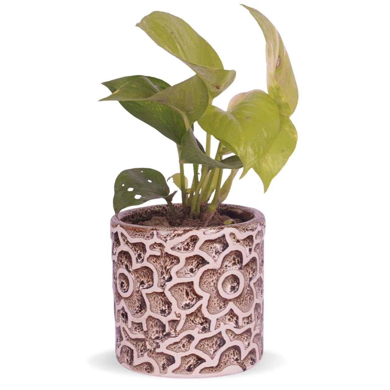 ecofynd 4 inches Ceramic Plant Pots, Clay Flower Pot with Drainage Hole ...