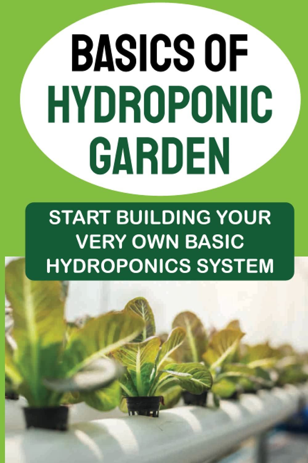 Buy Basics Of Hydroponic Garden: Start Building Your Very Own Basic Hydroponics System: Lighting ...