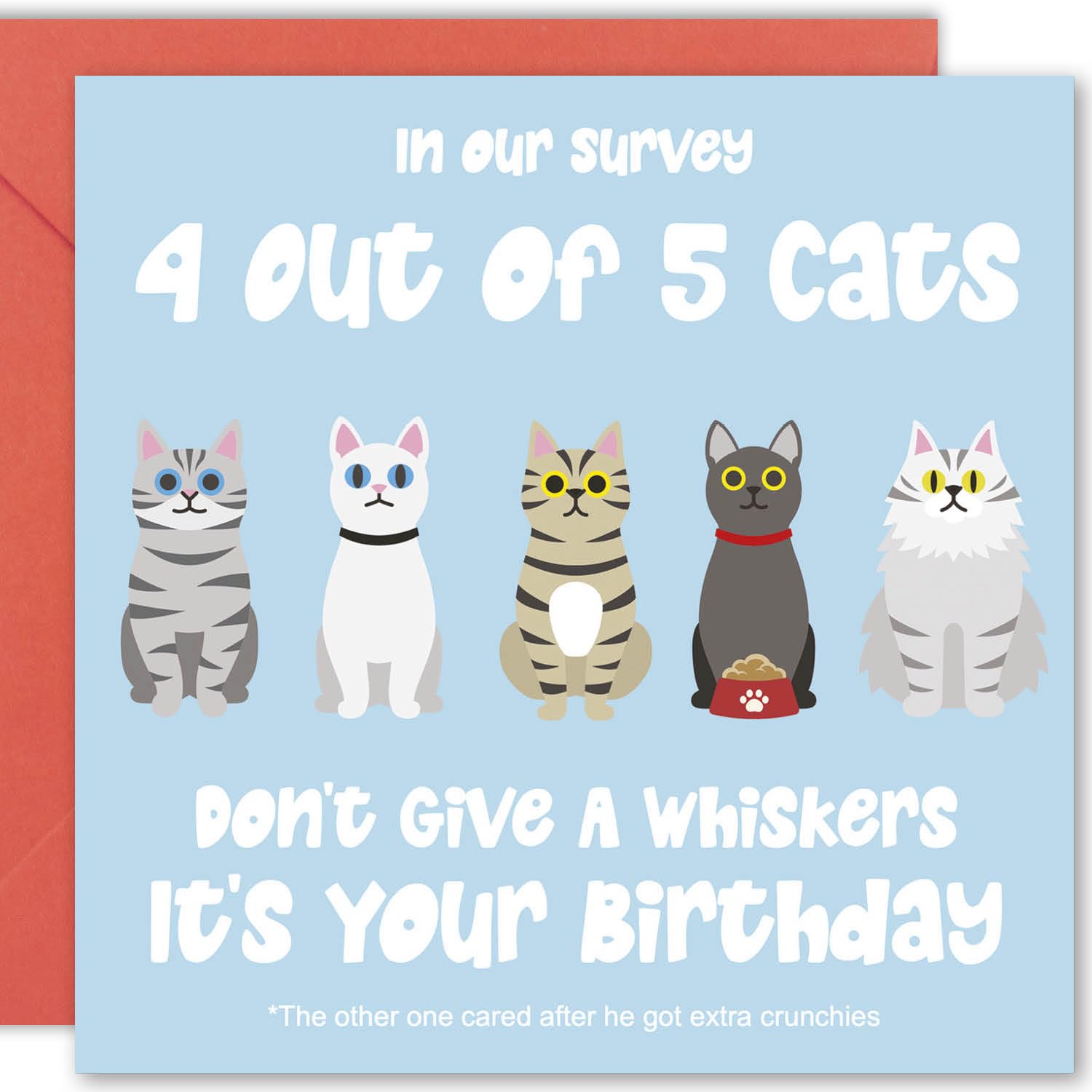 Happy 21st Birthday Kitten