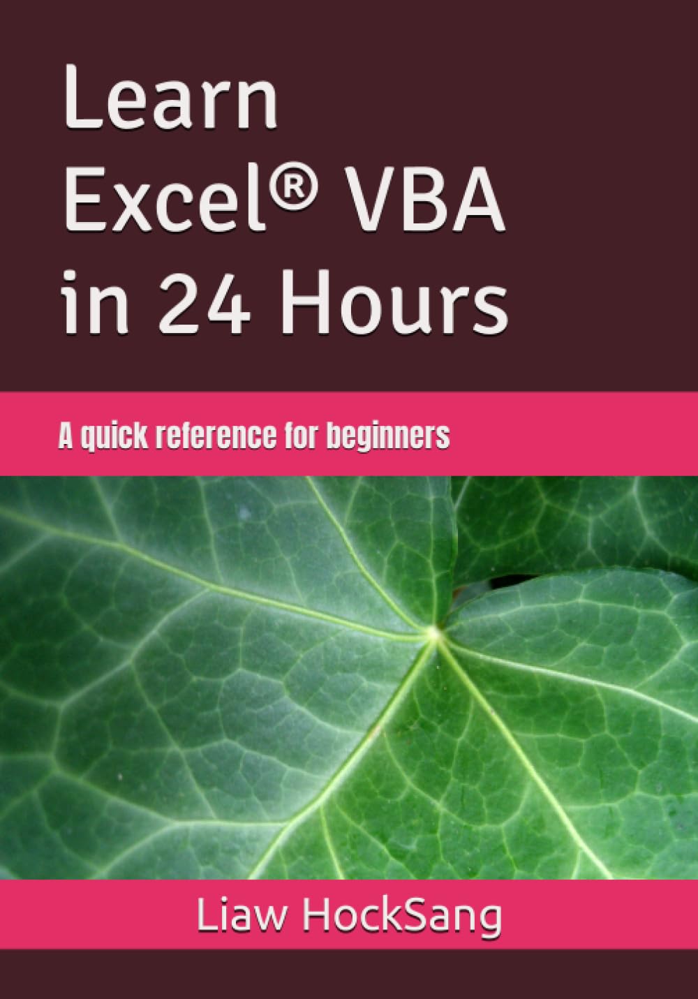 Learn Excel® VBA in 24 Hours: A quick reference for beginners: HockSang ...