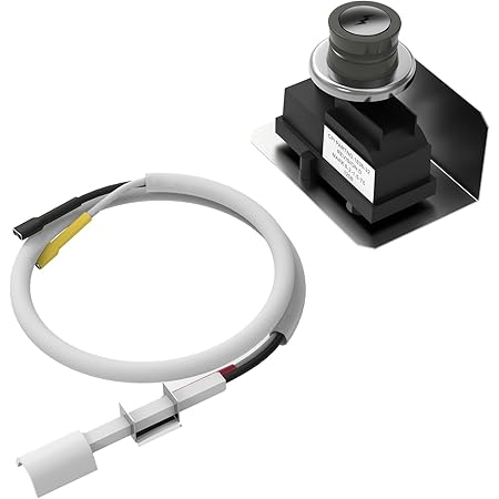 Amazon.com : BMMXBI 67847 Grill Igniter Kit for Weber Genesis 300 ...