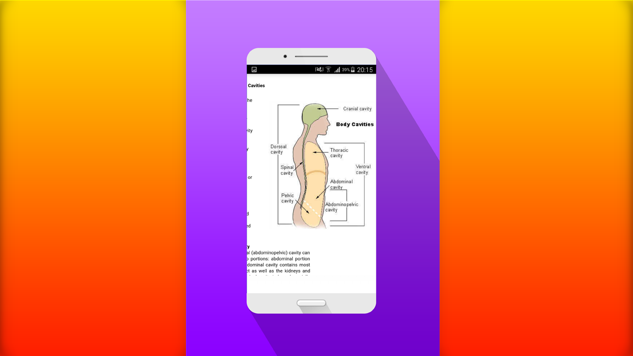 Human Anatomy - Free - App on the Amazon Appstore