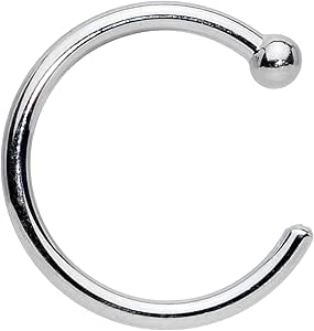 Amazon.com: Body Candy Tiny Nose Hoop 20 Gauge 1/4 Small Diamenter ...