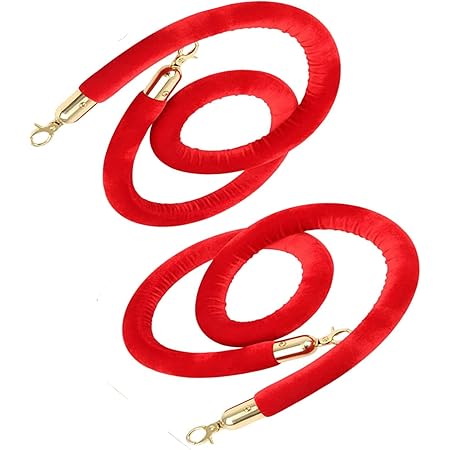 Aweisile Corde de Barrière 1pc Cordon Séparation Diviseur de Files d ...