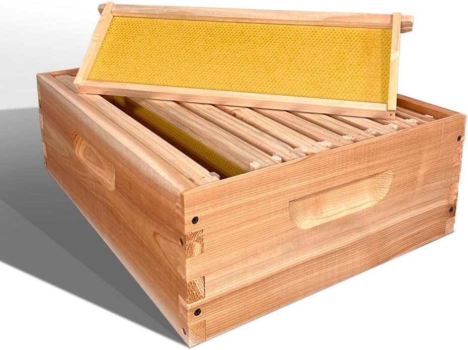 Amazon.com: Hoover Hives Cedar Wood 10-Frame Medium Super Box for ...